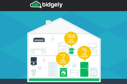 Bidgely获新一轮500万美元投资，提供家庭电力分析服务并给出节电省钱指引-36氪