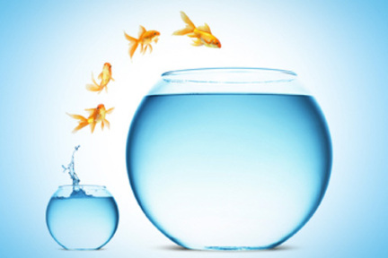 创业教父Steve Blank谈初创企业扩张时保持使命感的重要性-36氪