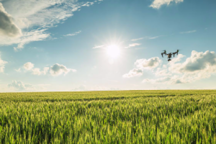 DroneSeed获得超过500万美元新一轮融资，用无人机选址、播种和施肥-36氪