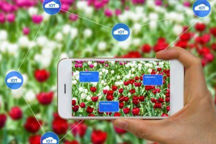 让农民掌握耕种各阶段信息，印度农业科技初创公司 RML AgTech 完成 400 万美元融资-36氪