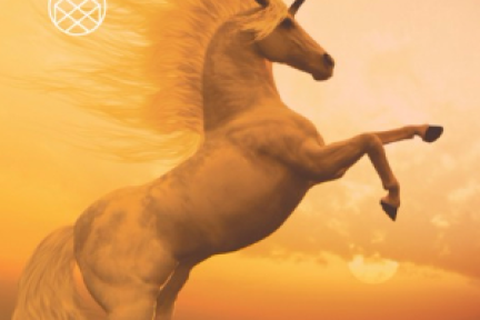 创新大师Steve Blank：为什么转型是创业成功的关键？-36氪