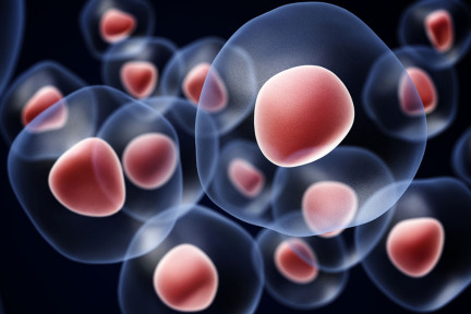 干细胞治疗公司Promethera Biosciences完成1100万美元C+轮融资，加码常见肝病治疗市场布局-36氪