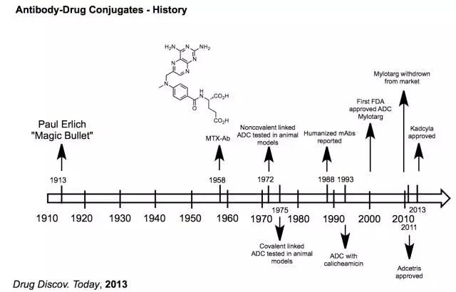 抗体偶联药物（ADC）研究报告：成功的ADC公司有哪些特点？-36氪