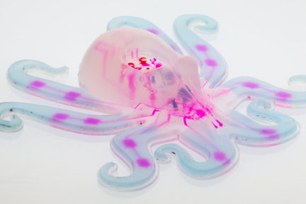全球首个全软体机器人 Octobot 面世，无需电子元件，可自主移动-36氪
