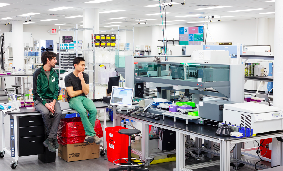 用基因修饰微生物合成香味，生化初创 Ginkgo Bioworks 获 4500 万美元 B 轮-36氪