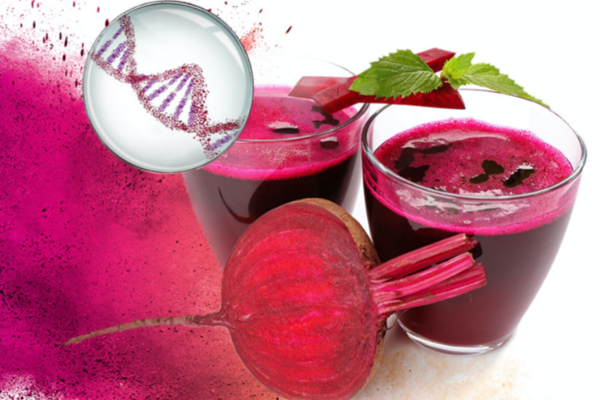 用天然食品生产高质量色素，「Phytolon」获 410 万美元融资-36氪