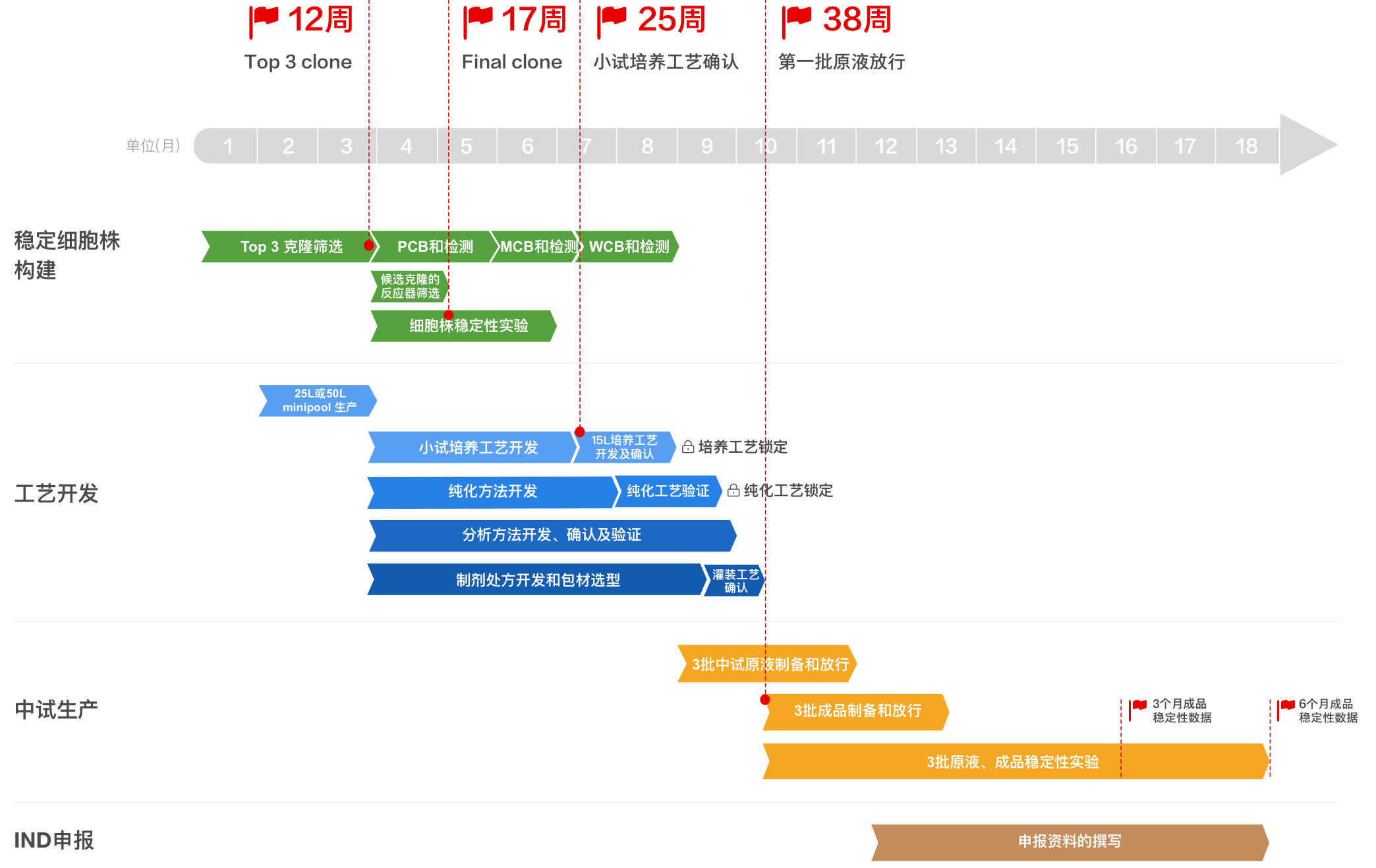 专注抗体和重组蛋白药物CDMO，「皓阳生物」完成超8000万元A轮融资-36氪