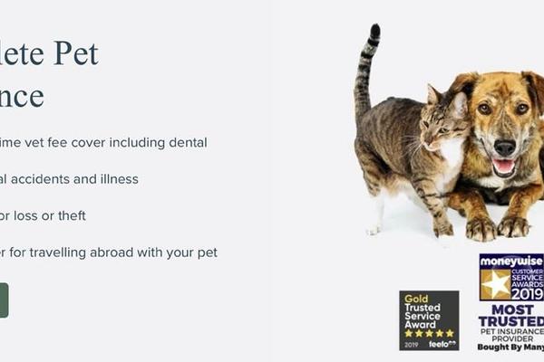 聚焦定制化宠物保险，英国互联网保险公司Bought By Many已获2.86亿欧元D轮融资-36氪