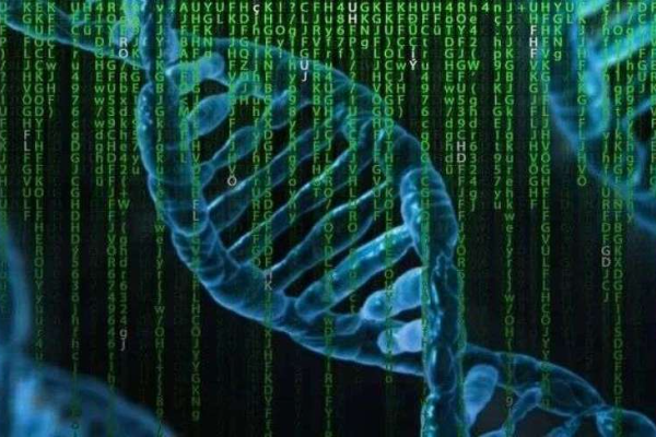 一小杯DNA可装下全世界信息，MIT开发全新DNA信息存储读取技术-36氪