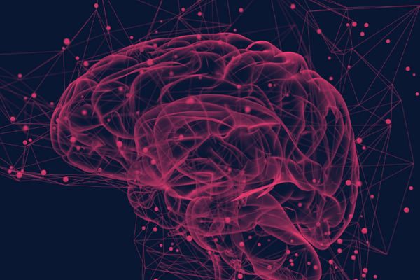 “聪明”和“智慧”的 7 大不同之处-36氪