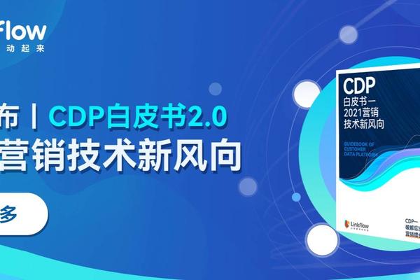 从规划到实操，CDP白皮书2.0来袭！Linkflow一次性回答你的所有问题-36氪