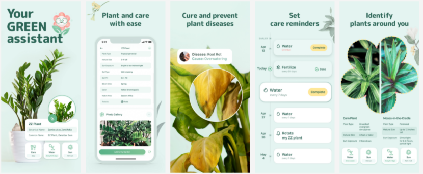 除了「PictureThis」，这款植物App月营收也超百万-36氪