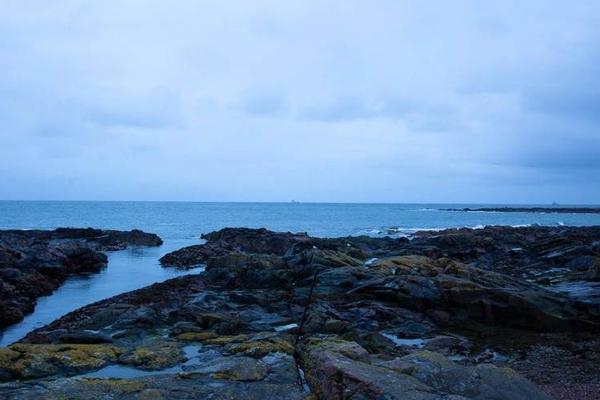 国外创投新闻 | 渔业采购平台「Rooser」在A轮融资中获2300万美元投资，将用于拓展欧洲市场-36氪