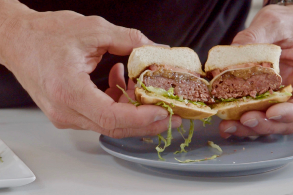 海外new things |「SCiFi Foods 」完成2200万美元A轮融资，致力于大规模开发更美味实惠的人造肉-36氪