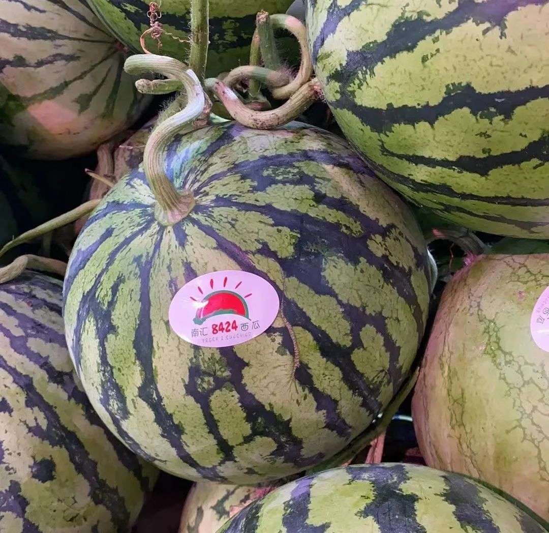 上海吃瓜群众的8424，究竟是什么接头暗号？-36氪