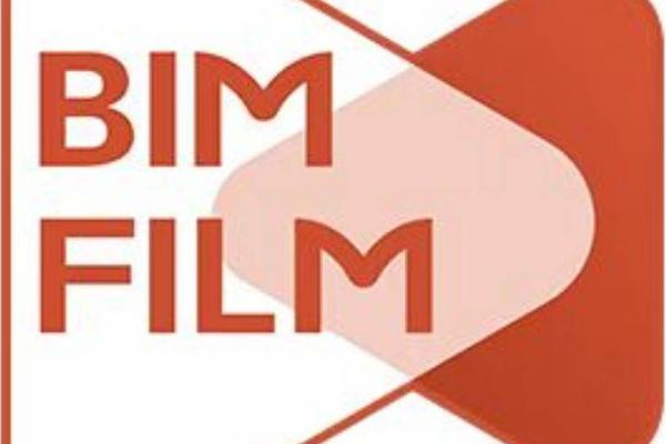BIM施工模拟软件BIMFILM获近千万元天使轮融资，资方为青矩创投-36氪