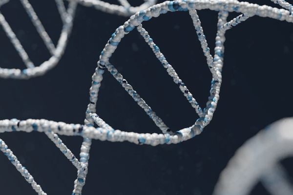 你身体里的 DNA，能存下整个宇宙的数据-36氪