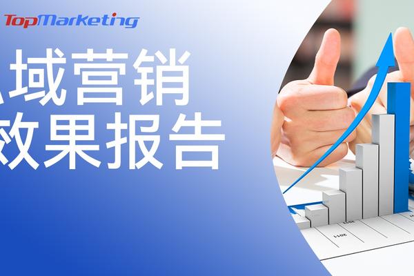 TOP X 有赞：2022私域营销效果报告-36氪