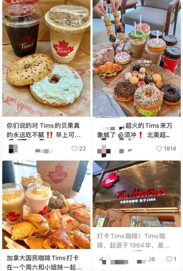 被资本冷落的Tims中国，不战而败了吗？-36氪