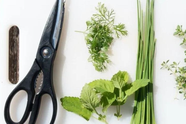 T97直播间的咖啡，都“卖”给谁了？-36氪