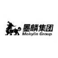 墨麟股份 | 项目信息-36氪