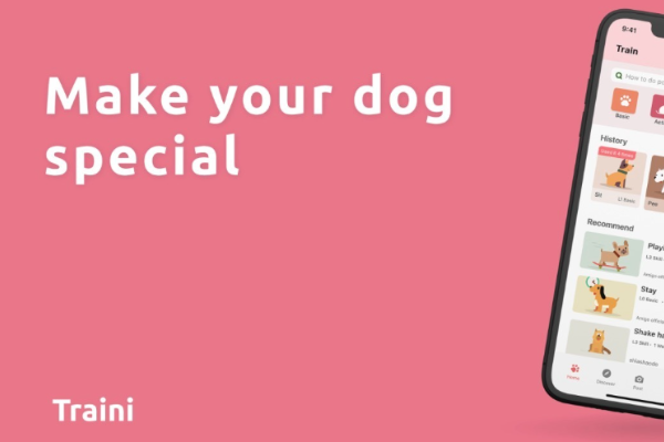 36氪首发｜「Traini」获数百万种子轮融资，提供AI智能化宠物培训互动平台-36氪