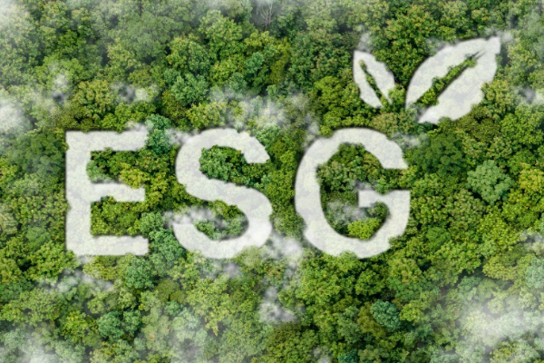 蚂蚁集团ESG办公室负责人闫萌：ESG不是迎合潮流，是企业面向未来的全面变革｜谈碳-36氪