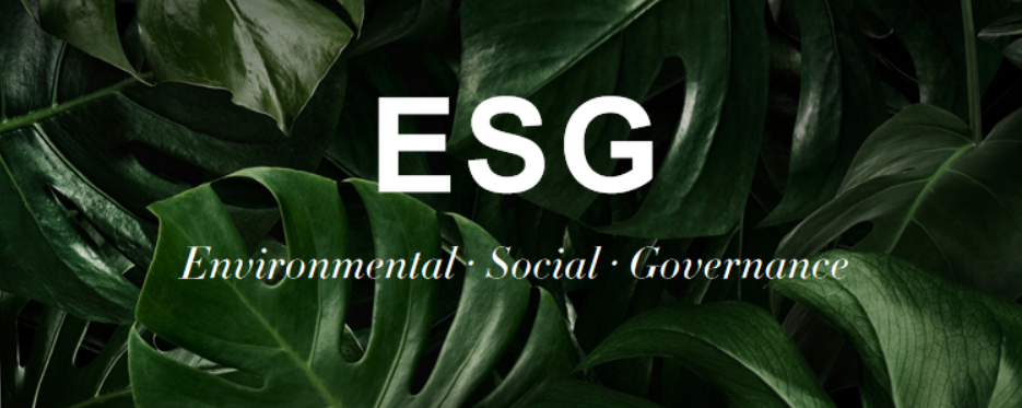 ESG专题：从理念到商业中的细节与秘密-36氪