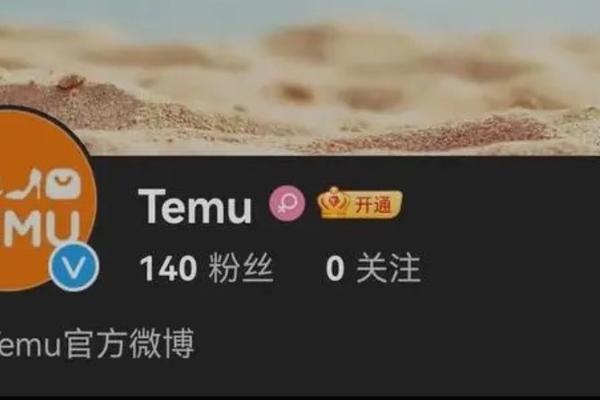 极具“侵略性”的Temu，如何再造一个拼多多？-36氪