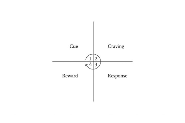 3R原则：如何用“好习惯”替代“坏习惯”？-36氪