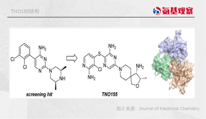 从众星捧月到大厂退货，明星靶点“SHP2”这一年-36氪