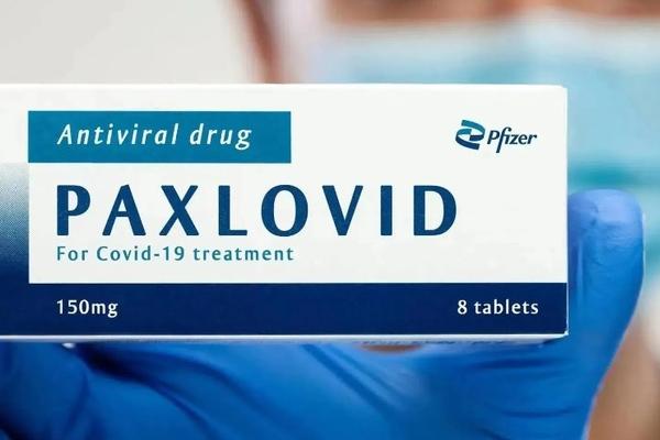 谁在买辉瑞新冠特效药-36氪