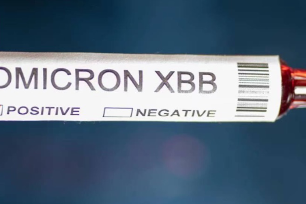 凑近“XBB”-36氪