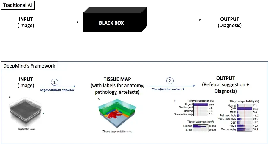 行业观察：谷歌DeepMind可能解决了AI医疗中的“黑匣子”问题-36氪