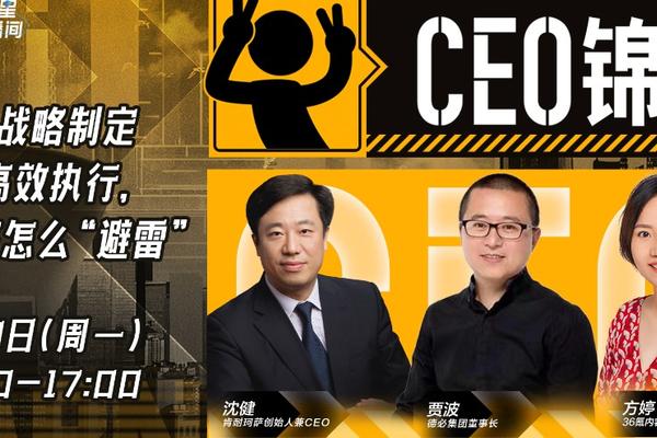 CEO锦囊丨从战略制定到高效执行，企业该怎么避雷？-36氪