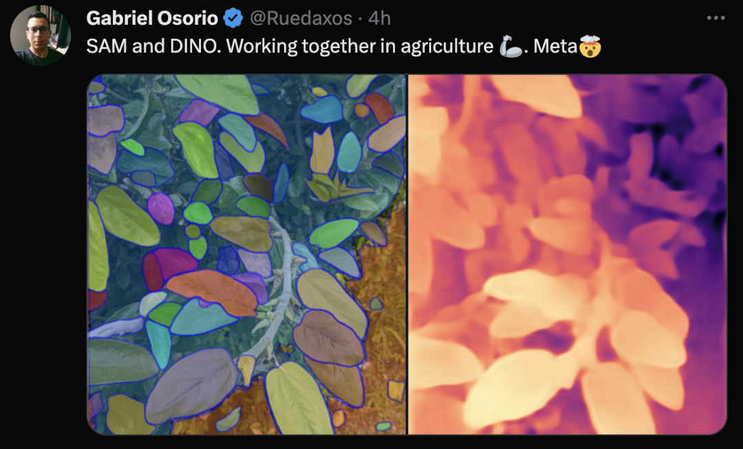 CV圈又炸了？小扎高调官宣DINOv2，分割检索无所不能，网友：Meta才是「Open」AI-36氪