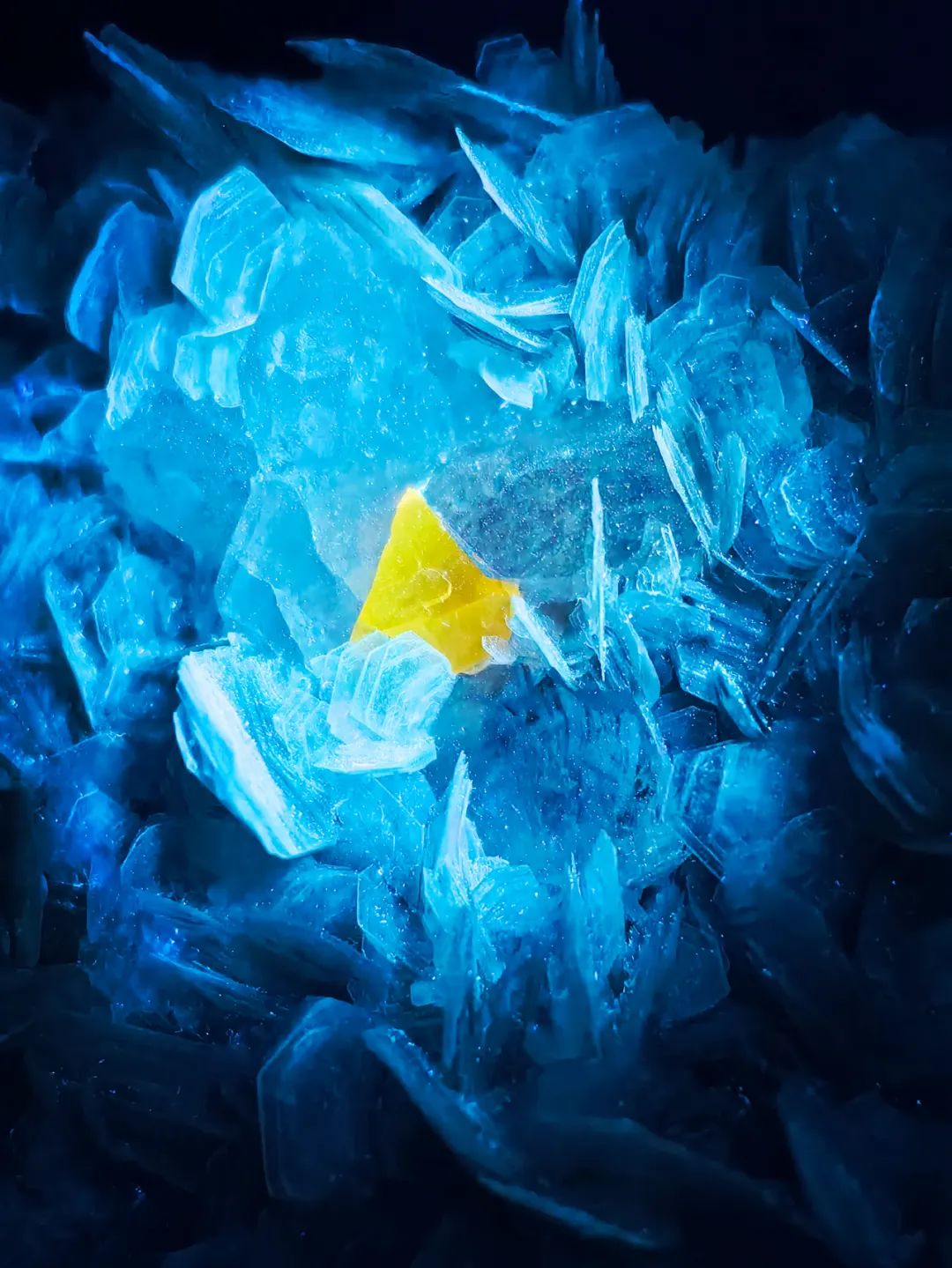 XMAGE：华为的影像升维之战-36氪