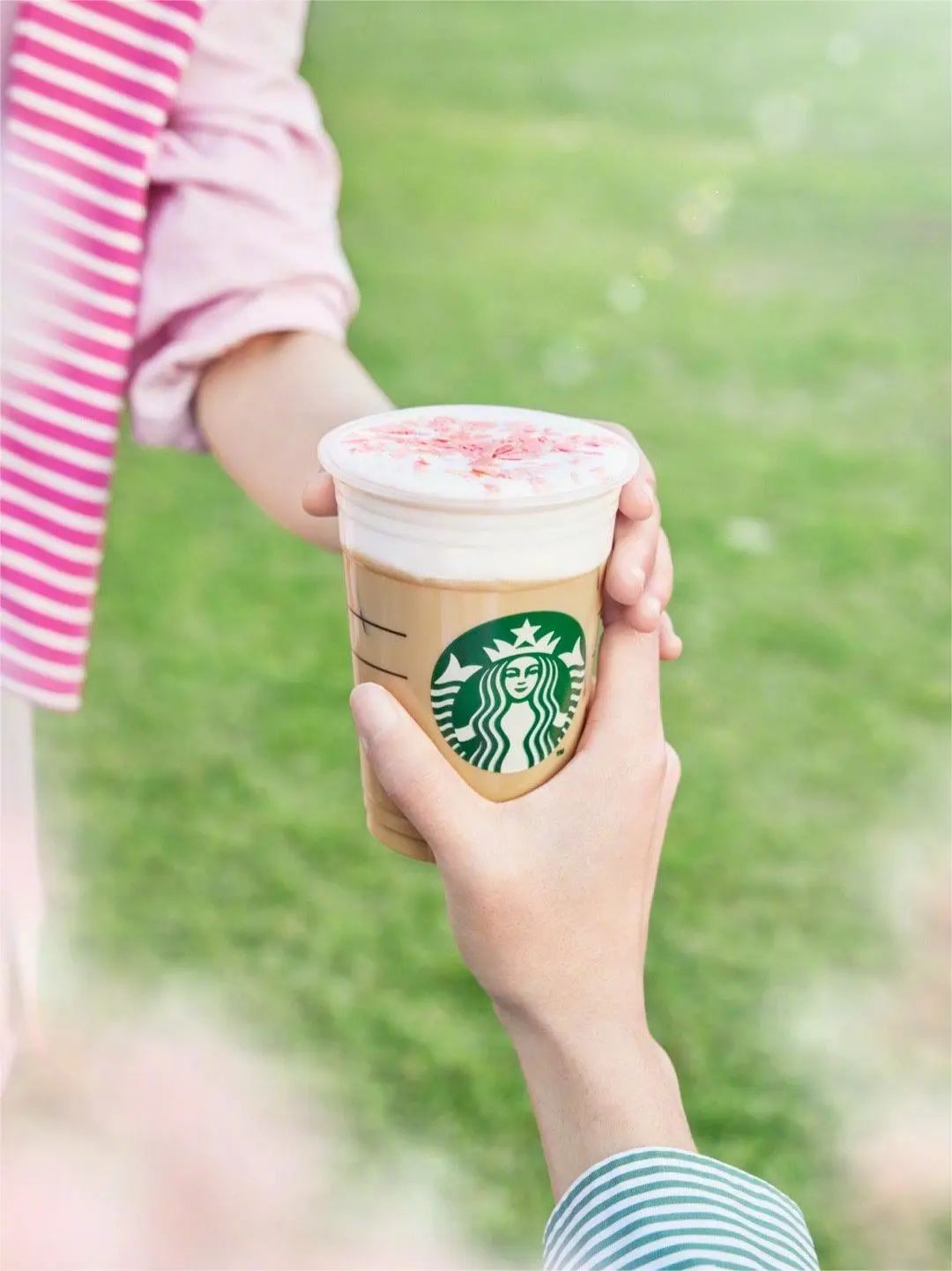 花元素，不止春日限定-36氪