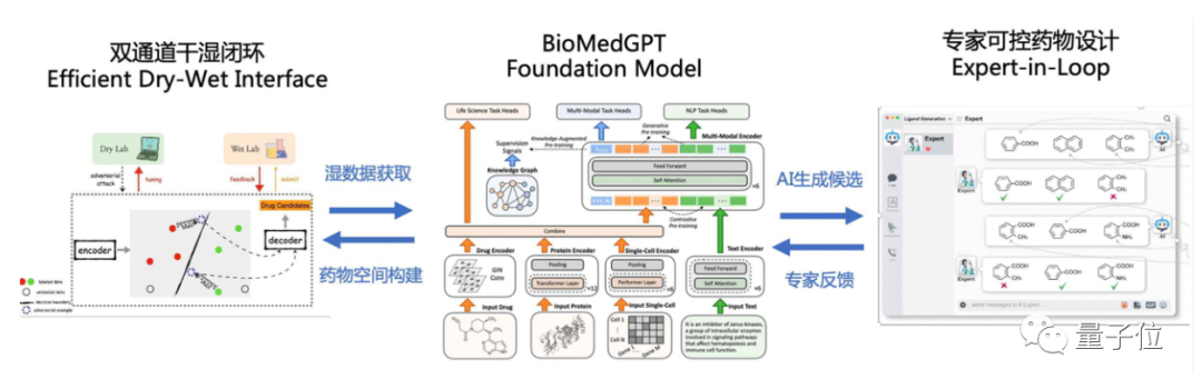 清华AIR开源轻量版BioMedGPT，聂再清：最终目标是生物医药领域基础大模型-36氪