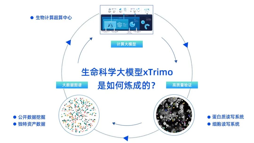 生物计算、AIGP助力，AI能否承担药物研发的创新之路？——GGV投资笔记第148期-36氪