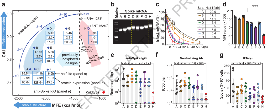 AI改变游戏规则，mRNA世界风起云涌-36氪