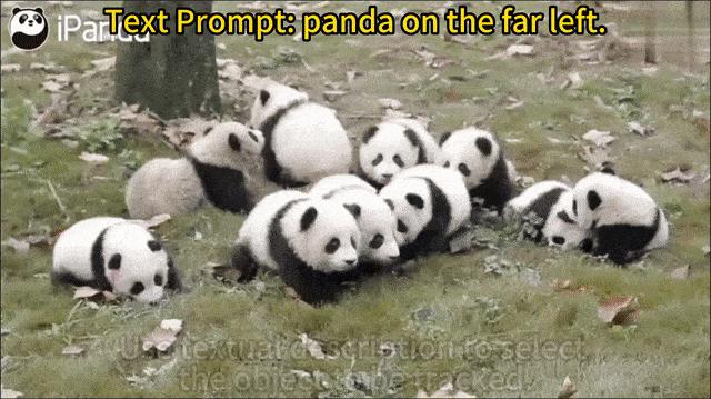 视频分割大结局，浙大最新发布SAM-Track：通用智能视频分割一键直达-36氪