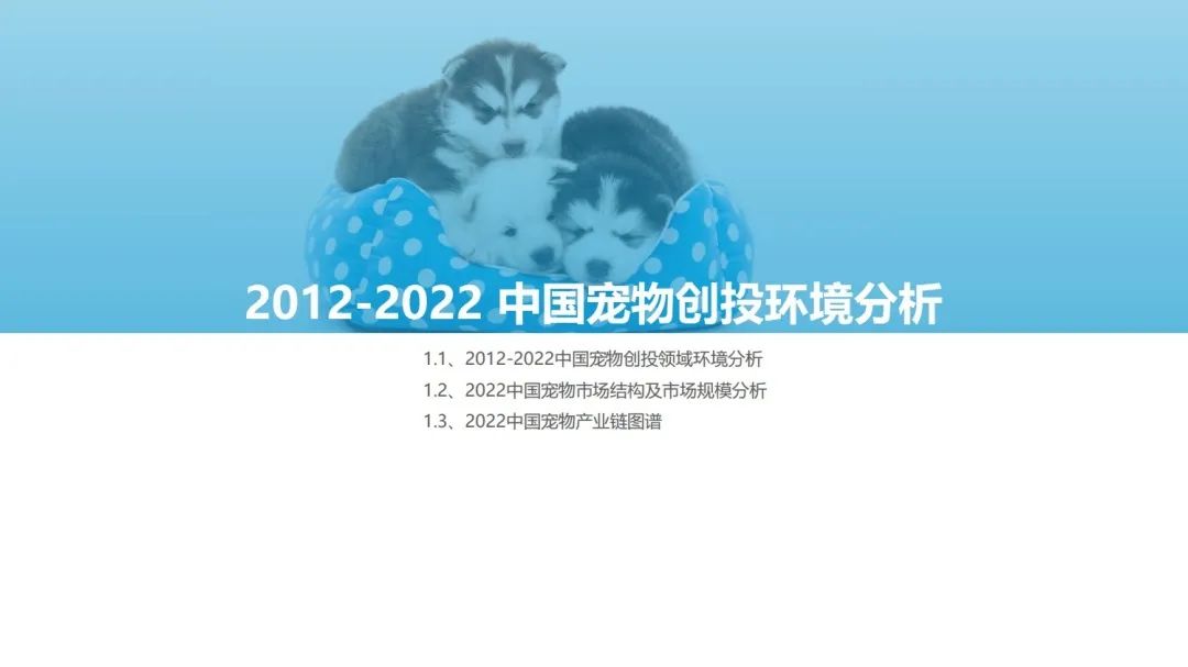 《2012-2022 中国宠物创业投资数据分析报告》-36氪