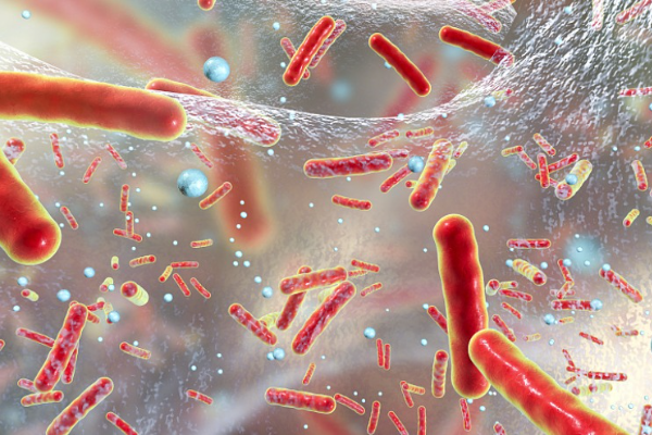 海外new things|「BiomeSense」获300万美元超额认购，用于生物信息学技术商业化-36氪