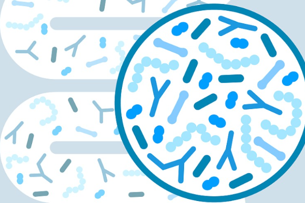 海外new things|「Metagen Therapeutics」获17亿日元A轮融资，研发肠道微生物组疗法-36氪