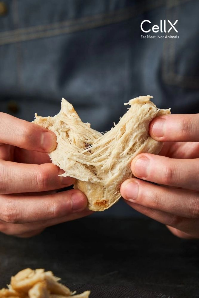 36氪首发丨合成生物学公司「CellX」完成数千万A+轮融资，千升吨级中试工厂拟于近期运行-36氪