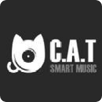 DigiCat | 项目信息-36氪