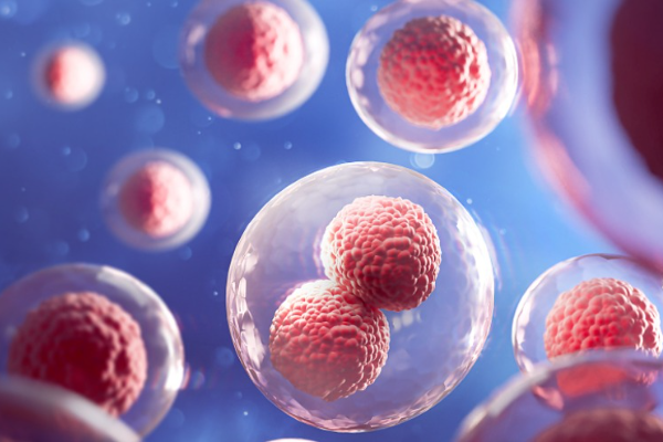 海外new things|「Calidi Biotherapeutics」获2500万美元B轮融资，研究肿瘤免疫疗法-36氪