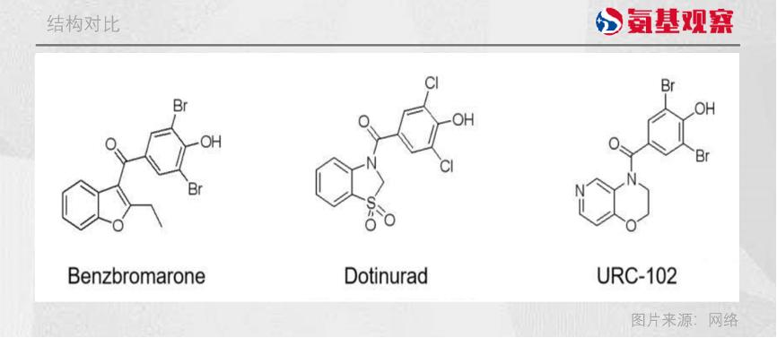 痛风传奇靶点沉浮50年：踩着巨人肩膀前进，才是follow的最终意义-36氪