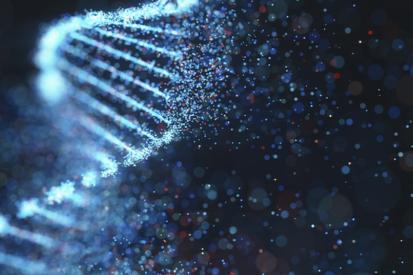 海外new things|「Camena Bioscience」获1000万美元A轮融资，提供高精度酶促DNA合成服务-36氪